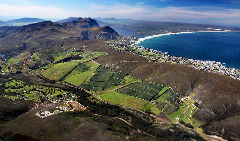 Hermanus Wine Route | Cape Whale Coast
