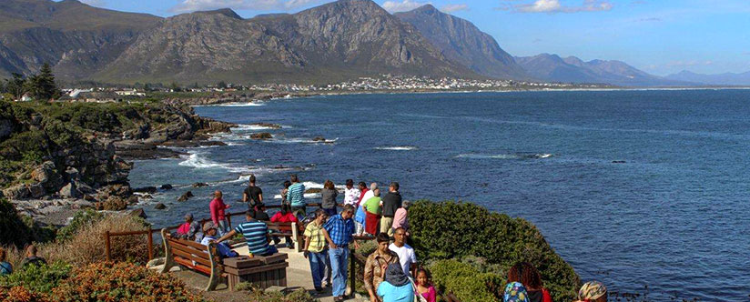 Hermanus Cliff Path | Cape Whale Coast