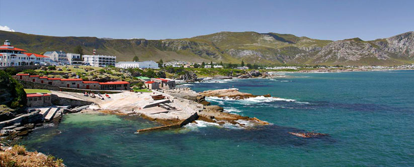 Hermanus | Cape Whale Coast